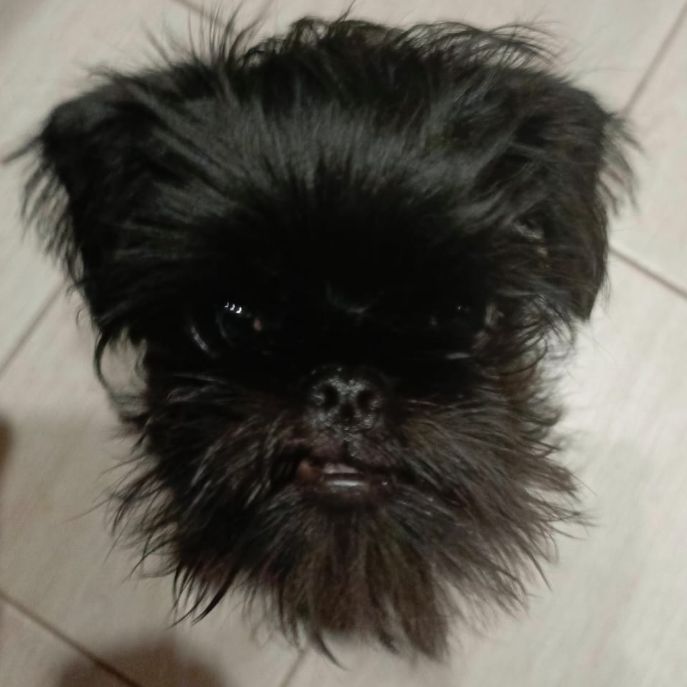 Иконка канала Mirysia-love