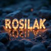 Иконка канала ROSILAK: грани красивого бизнеса