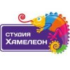 Иконка канала Студия ХАМЕЛЕОН