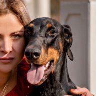 Иконка канала Питомник 🐶 доберманов Rada Gravity