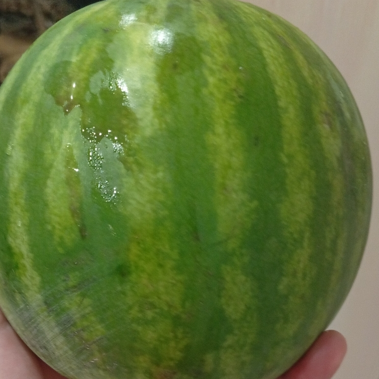 Иконка канала [DARK]TEA