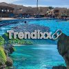 Иконка канала Trendixx🔗