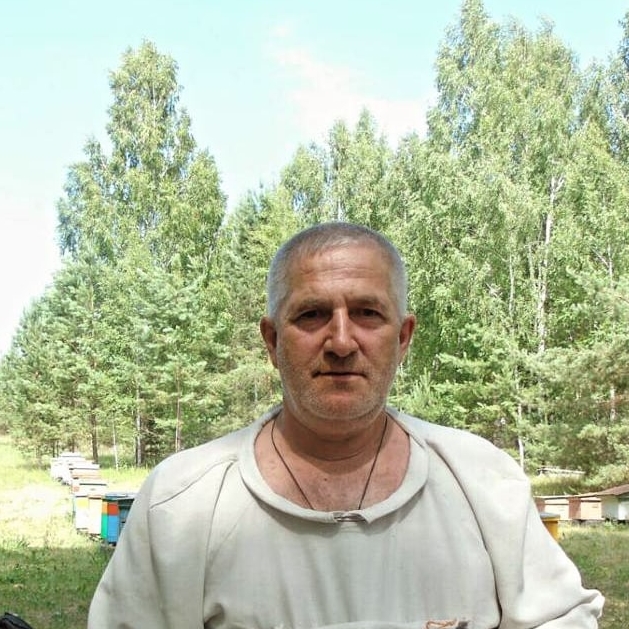 Иконка канала Пасека Виктор Дашицкого