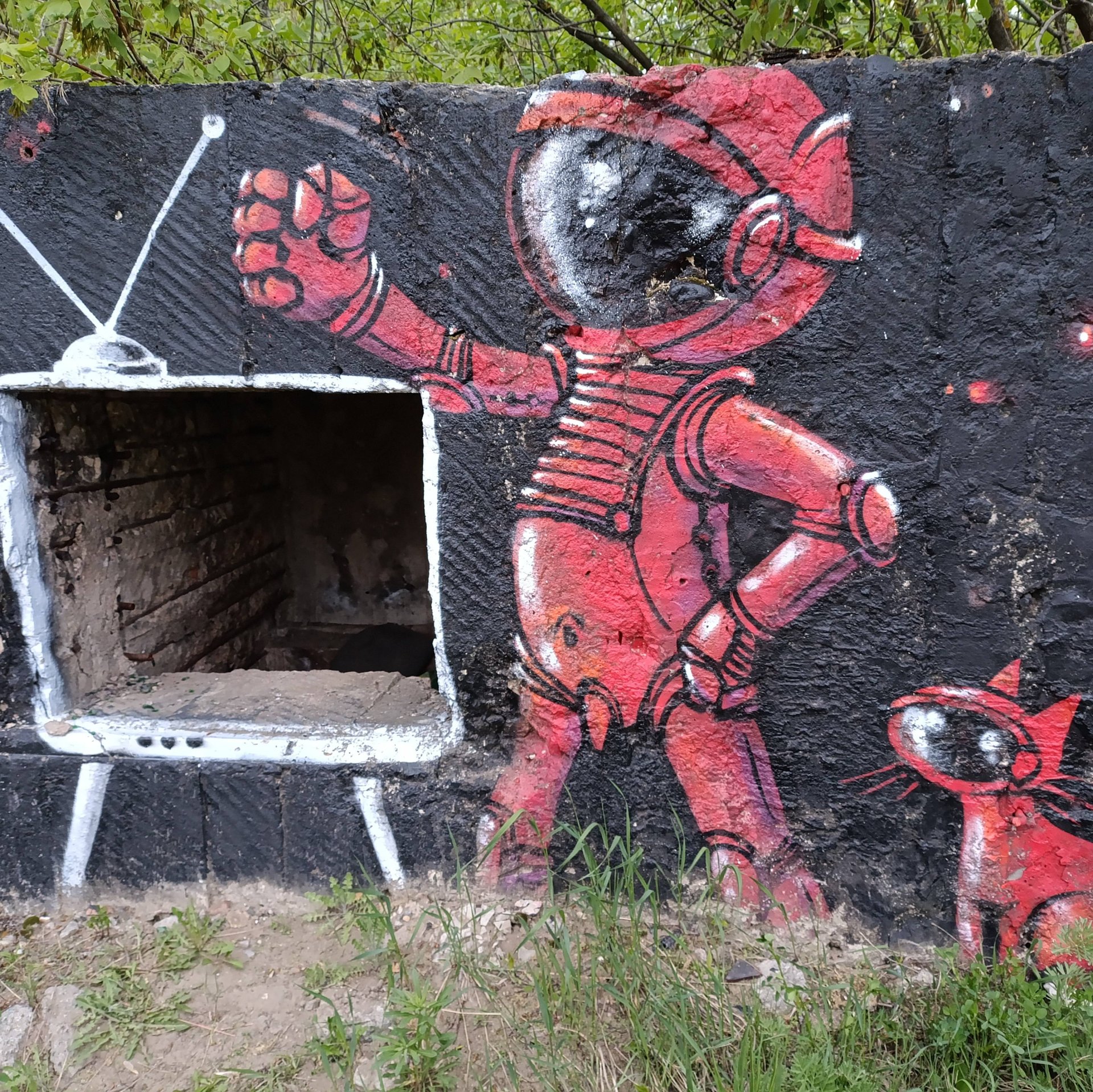 Иконка канала msvfromnn