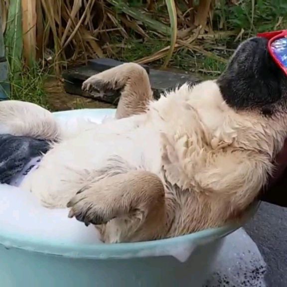 Иконка канала Раз, Два, Три и в Кювет:"Янлнышларымдан..."