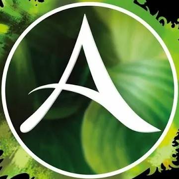 Иконка канала Гильдия Галлы