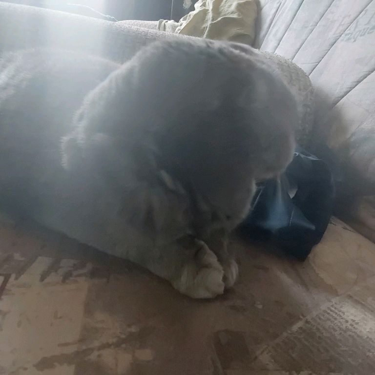 Иконка канала Вадим в Коломне