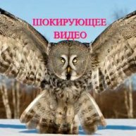 Иконка канала Шокирующие видео
