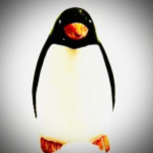 Иконка канала Продуманный пингвин