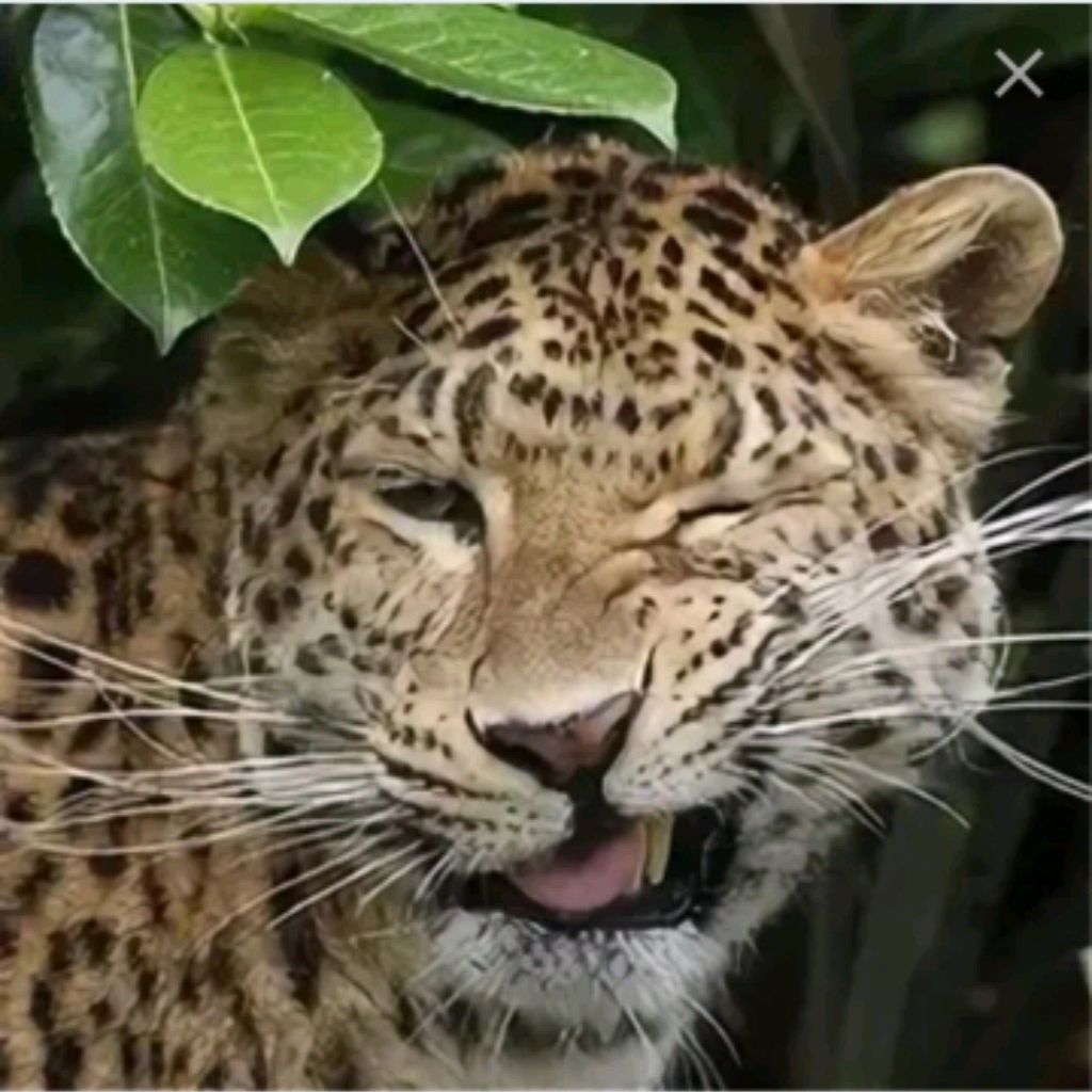 Иконка канала Кухня Голоднонго Школьника