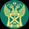 Иконка канала Российская таможенная академия