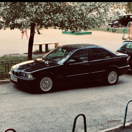 Иконка канала АЛЕКСЕЕВ