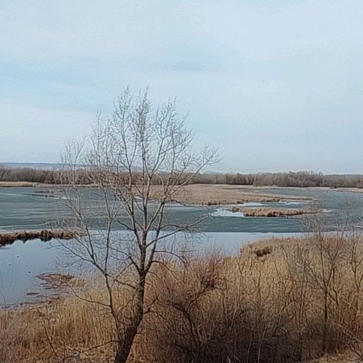 Иконка канала Lena Kniaz LDOE