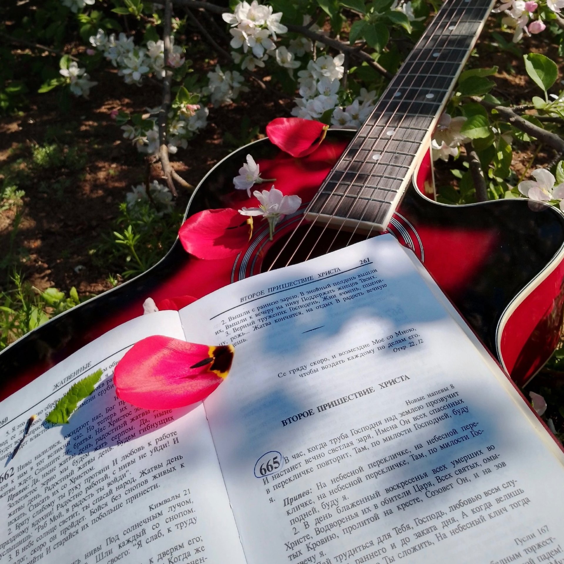 Иконка канала Песни прославления Господа нашего Иисуса Христа