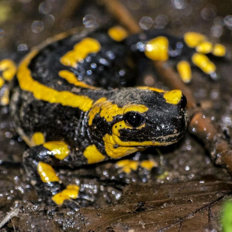 Иконка канала Guest . 666