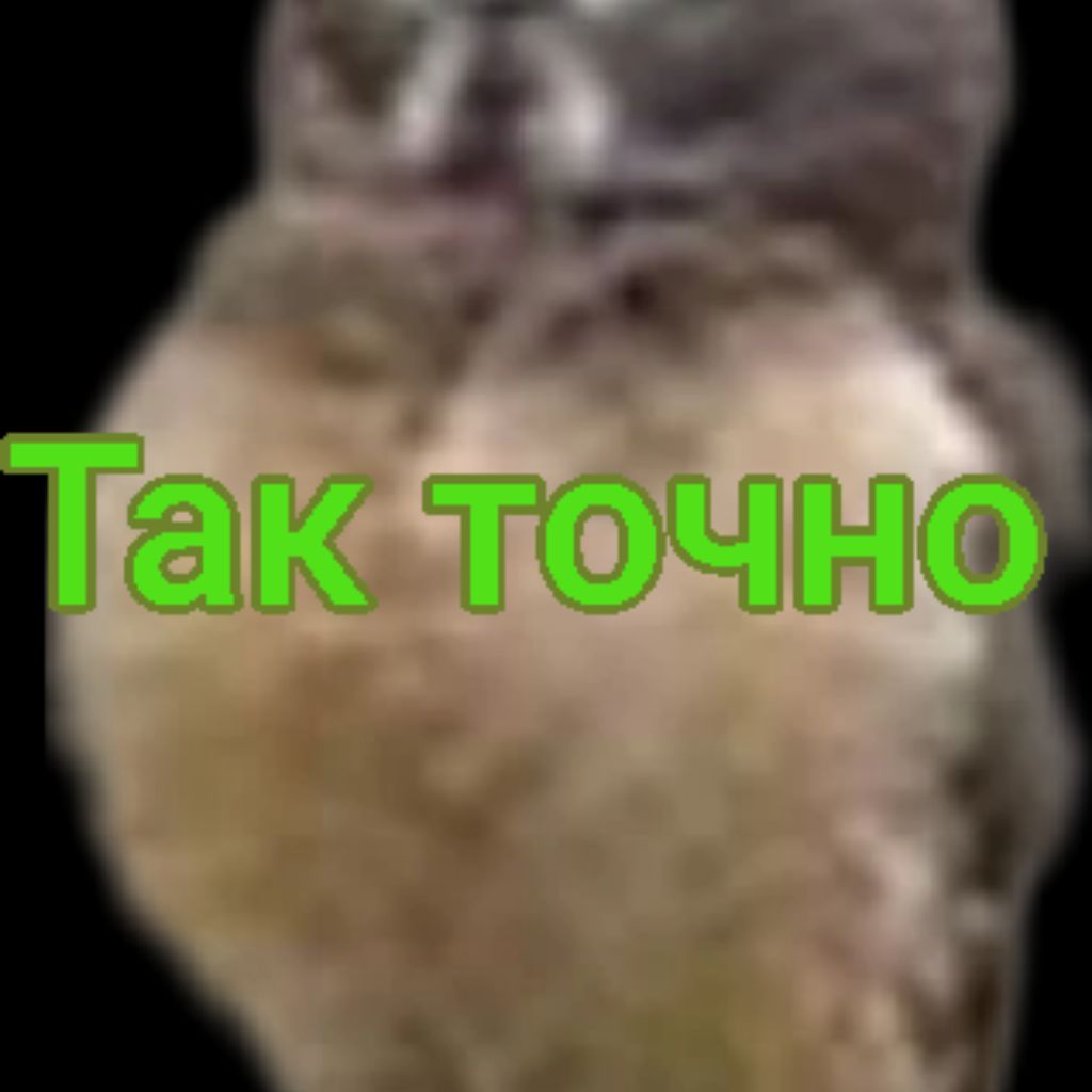 Иконка канала Так Точно Капитан!