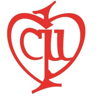 Иконка канала Фонд "СИ"