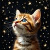 Иконка канала Котёнок Звезда