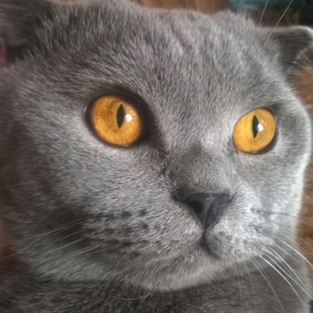 Иконка канала channel54167235