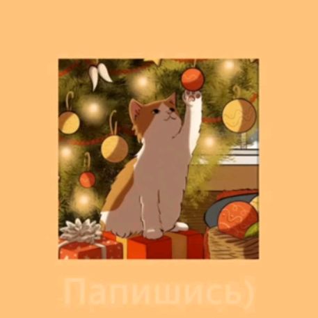 Иконка канала Амазонка!