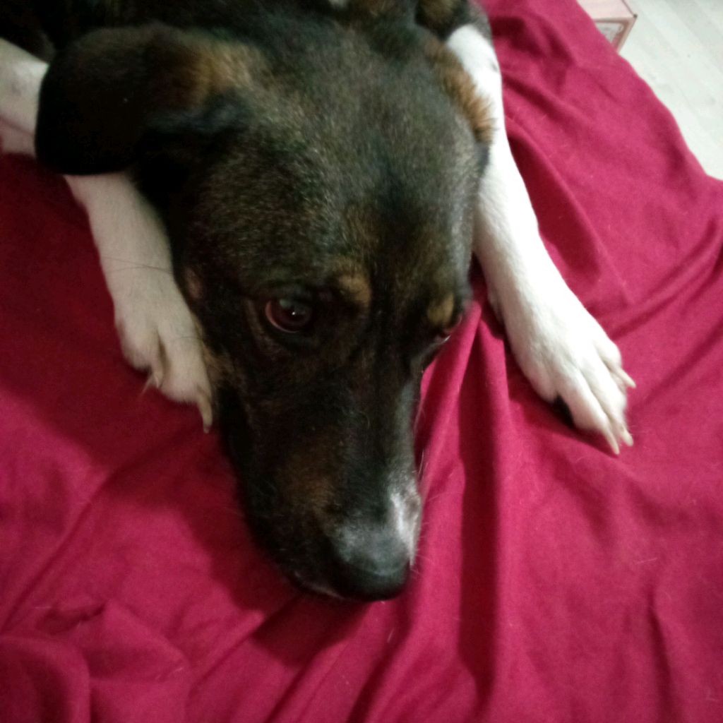 Иконка канала Жужик