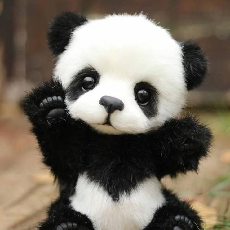 Иконка канала Tay_Wan