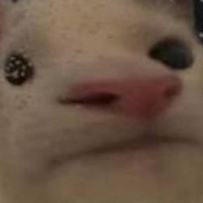 Иконка канала Frosich