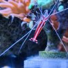 Иконка канала d.aqua.life