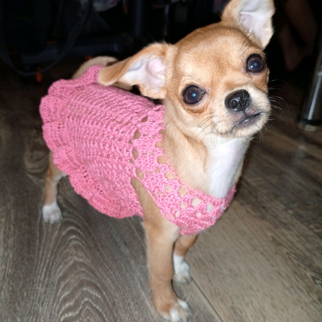 Иконка канала channel54316977