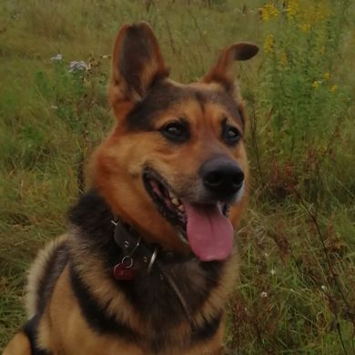 Иконка канала Наталья Костырко