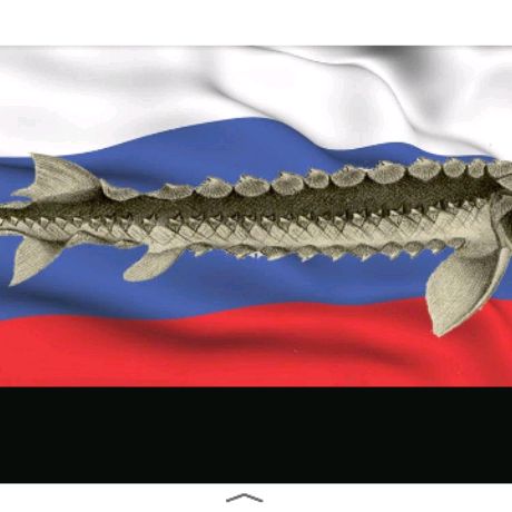 Иконка канала УЗВ Без Вложений