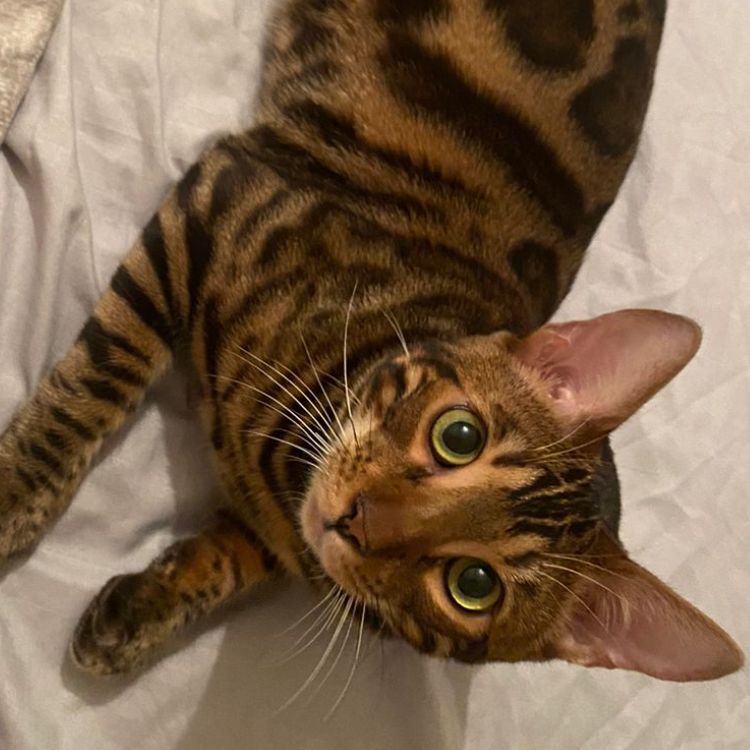 Иконка канала 50+О жизни