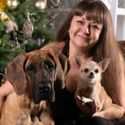 Иконка канала Питомник чихуахуа и догов "Адамант Дог"