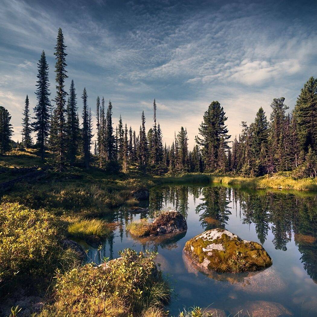 Иконка канала Позитивный - мир