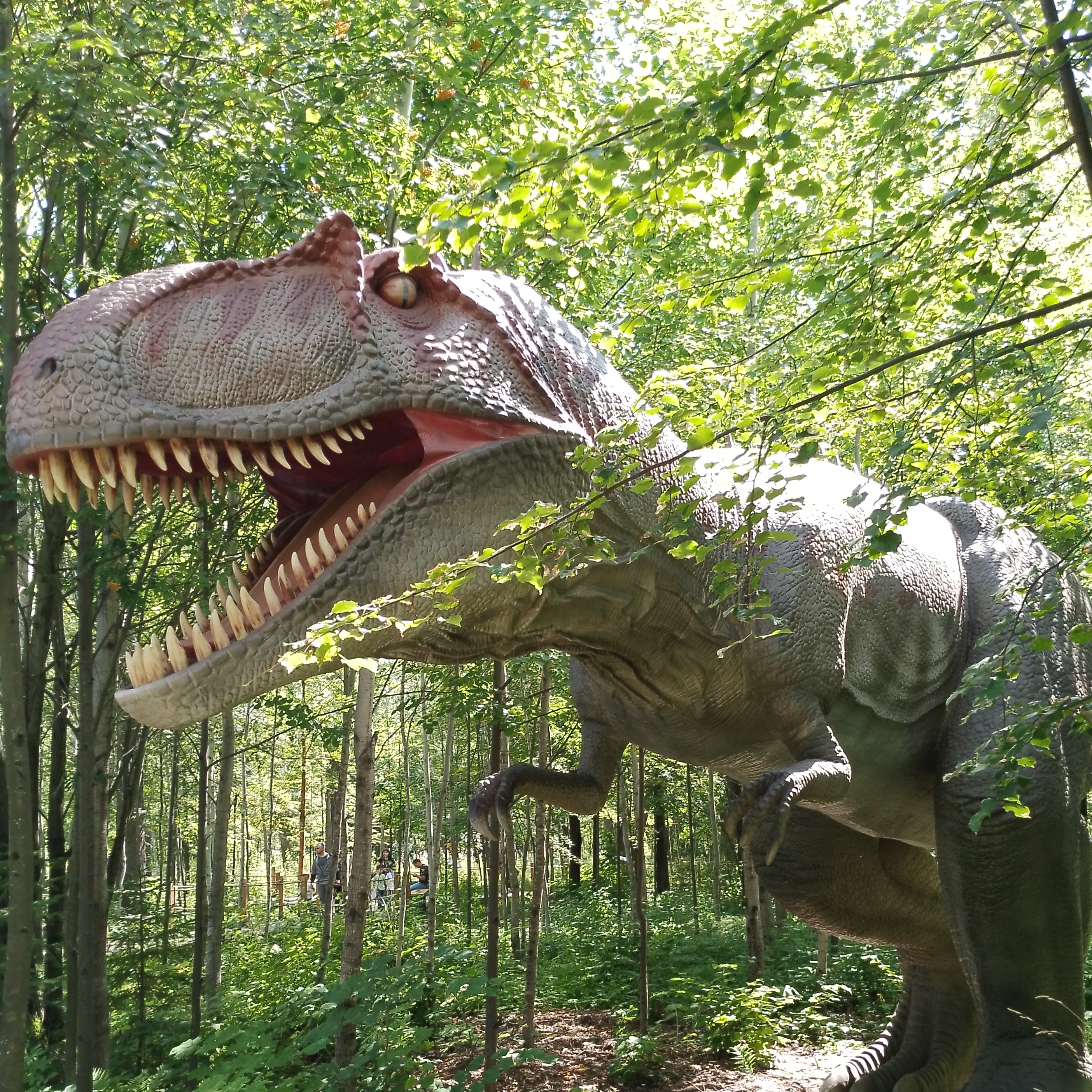 Иконка канала channel54567792