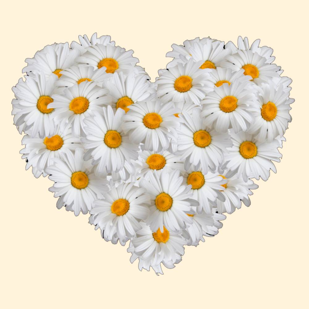 Иконка канала TulleLand. Дизайн машинной вышивки.