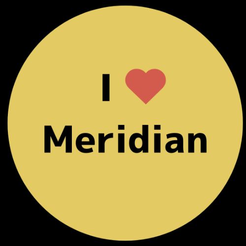 Иконка канала Meridian_school