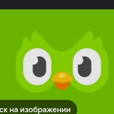 Иконка канала duolingo
