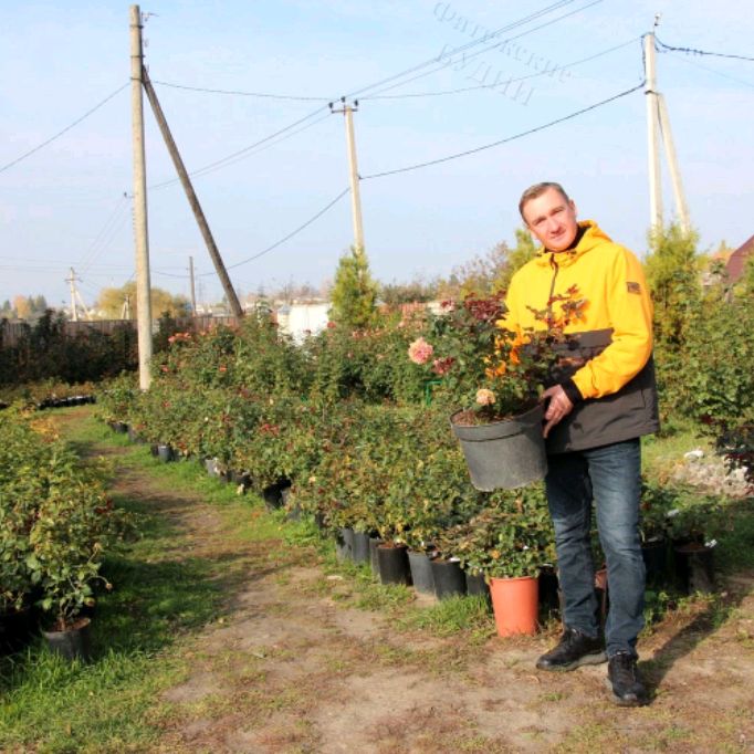 Иконка канала Розы от Макса