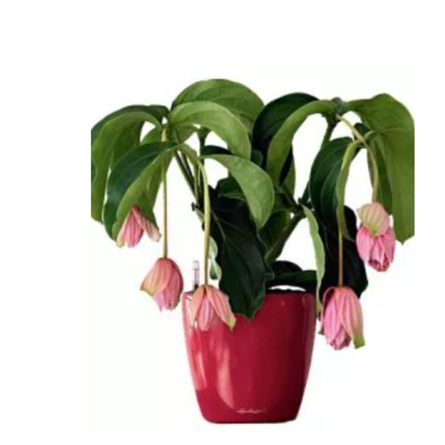 Иконка канала miltoniya.ru