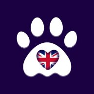 Иконка канала anglokotiki