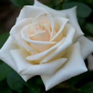 Иконка канала Seeker