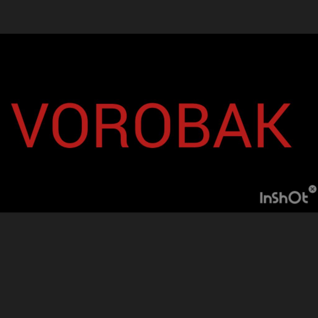 Иконка канала VOROBAK
