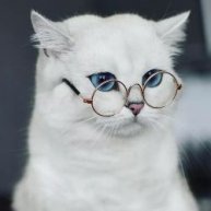 Иконка канала ХАРАКТЕРНАЯ МЕДЬ