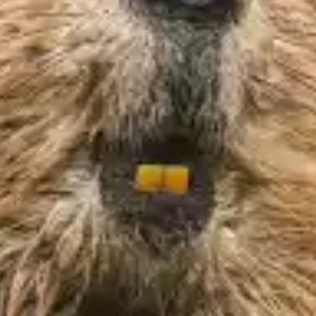 Иконка канала Bòbr™