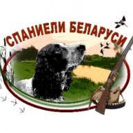 Иконка канала СПАНИЕЛИ БЕЛАРУСИ / секция РГОО БООР