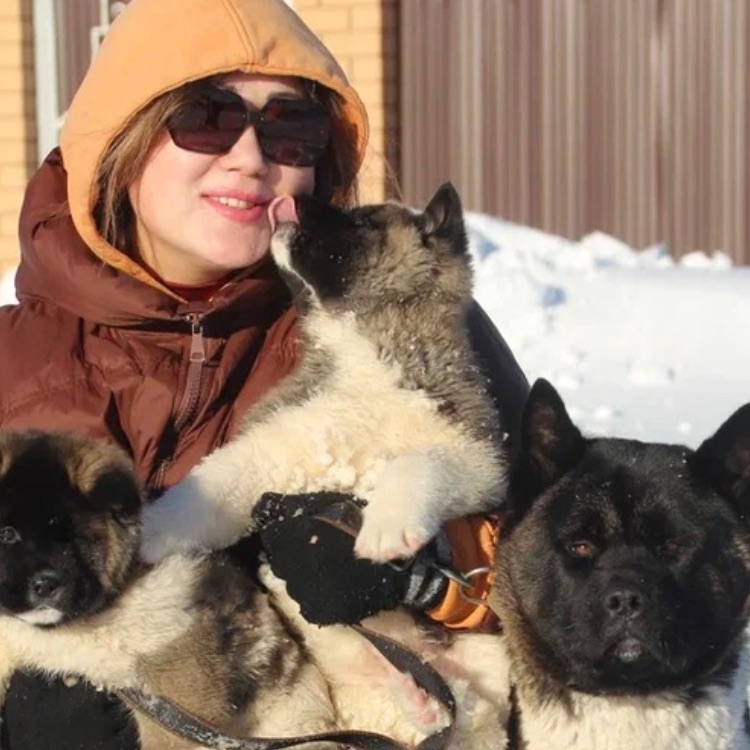 Иконка канала Элина