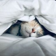 Иконка канала Атмосфера Сна