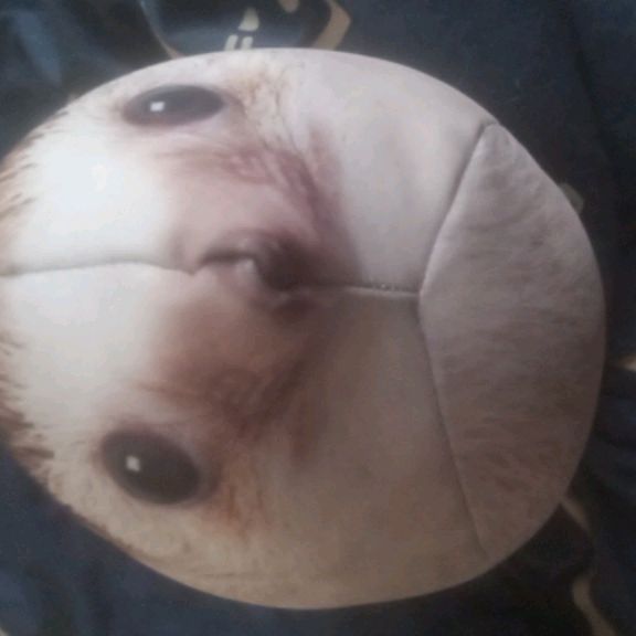 Иконка канала Игры Ёри