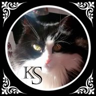 Иконка канала Kruzenshtern Shpentendelmauzer